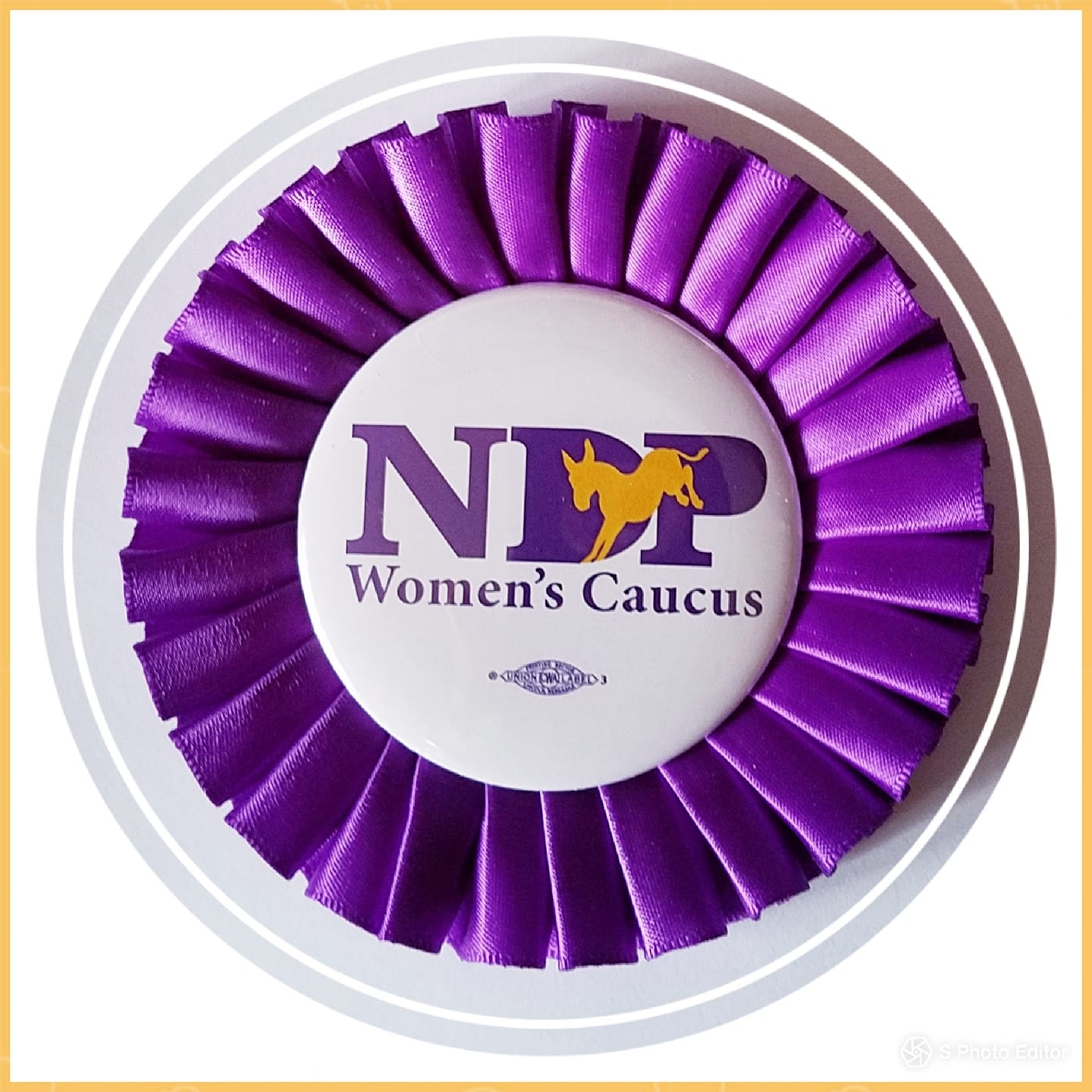 Caucuses and Councils – Nebraska Democratic Party